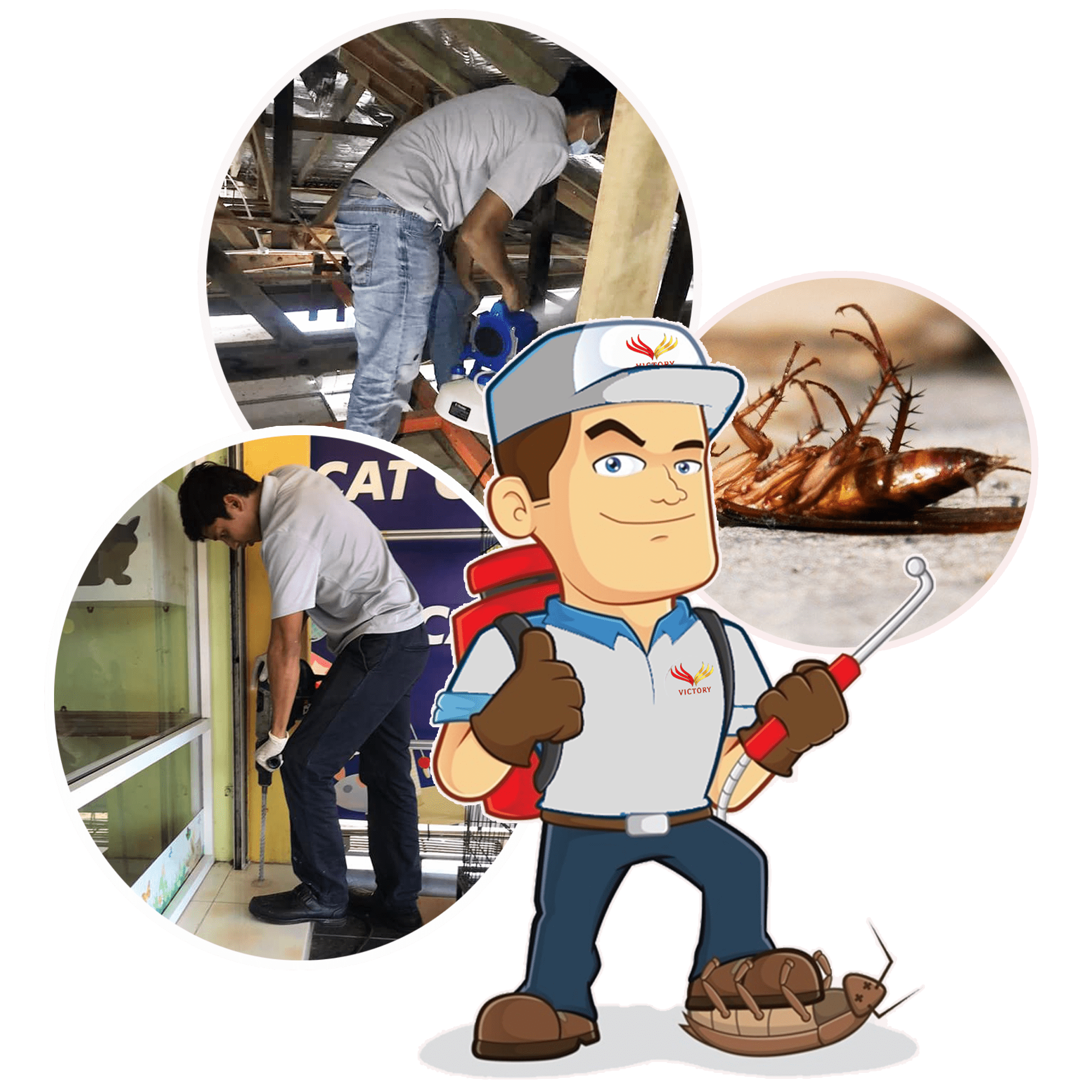 Home - VICTORY PEST CONTROL SDN BHD